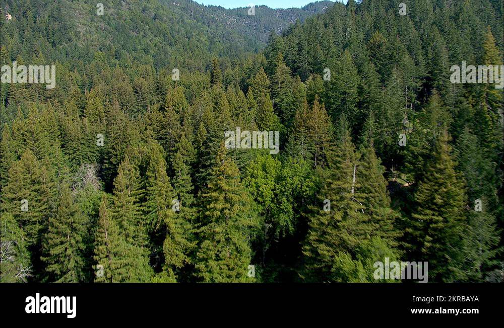 Valley trees hills ranch Stock Videos & Footage - HD and 4K Video Clips ...