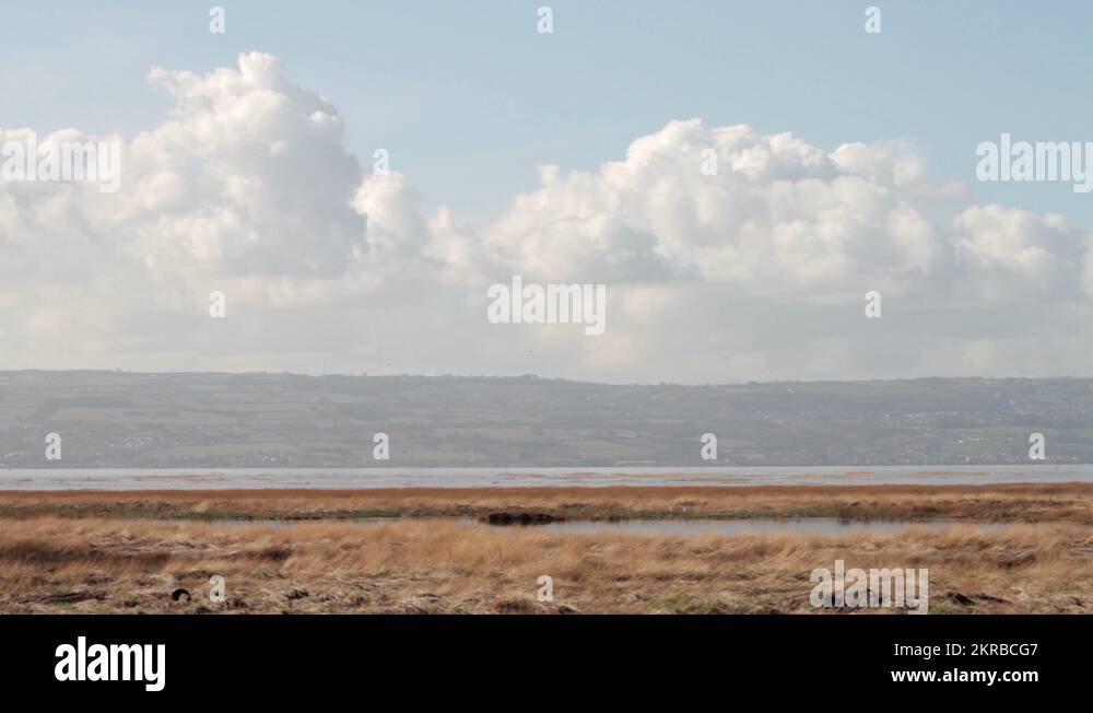 Rspb nature reserve Stock Videos & Footage - HD and 4K Video Clips - Alamy
