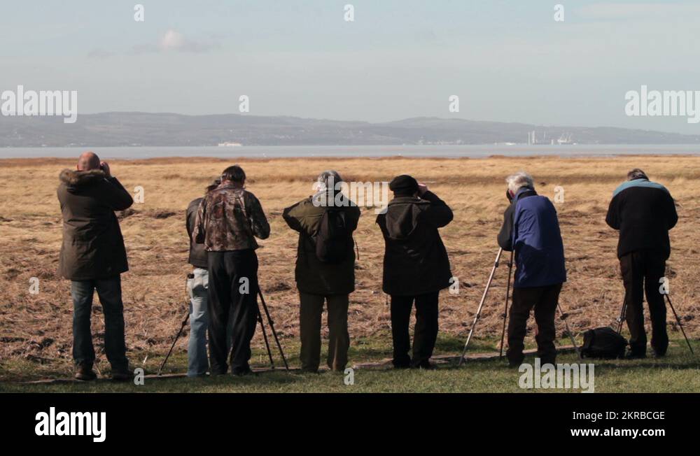 View rspb nature reserve Stock Videos & Footage - HD and 4K Video Clips ...