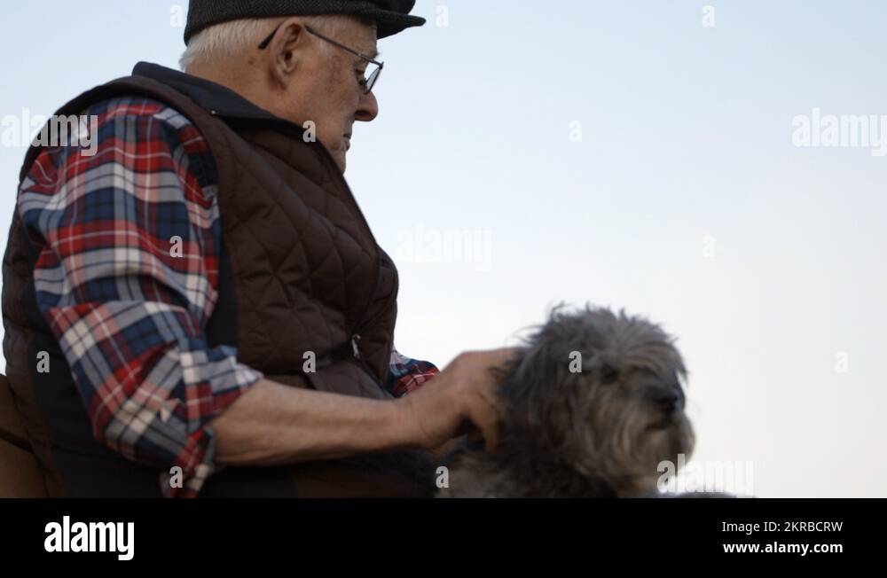 Cinematic dog Stock Videos & Footage - HD and 4K Video Clips - Alamy