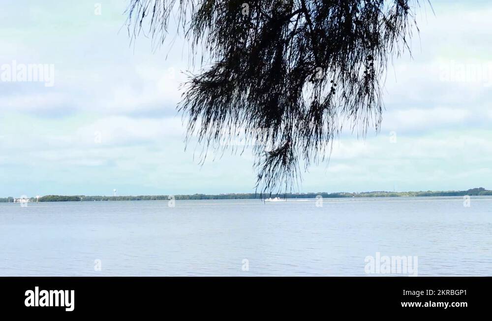 Tree overhang Stock Videos & Footage - HD and 4K Video Clips - Alamy