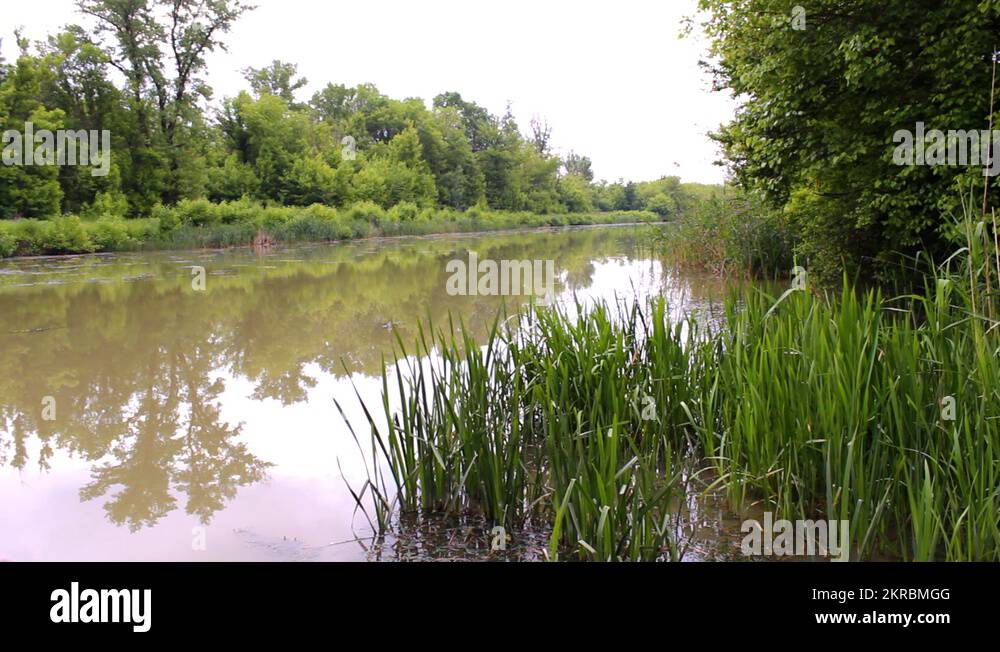 Carska Stock Videos & Footage - HD and 4K Video Clips - Alamy