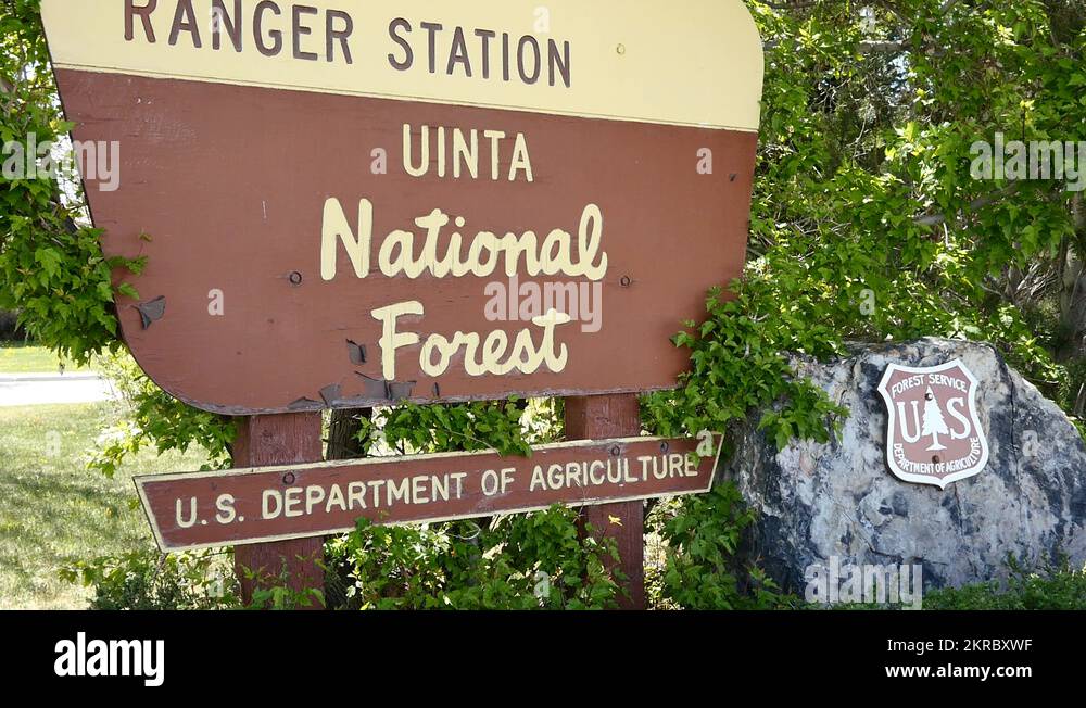 National forest service sign Stock Videos & Footage - HD and 4K Video ...