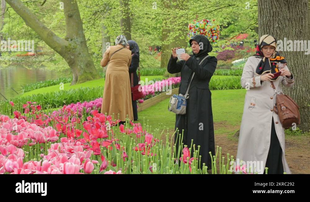 Islam netherlands Stock Videos & Footage - HD and 4K Video Clips - Alamy