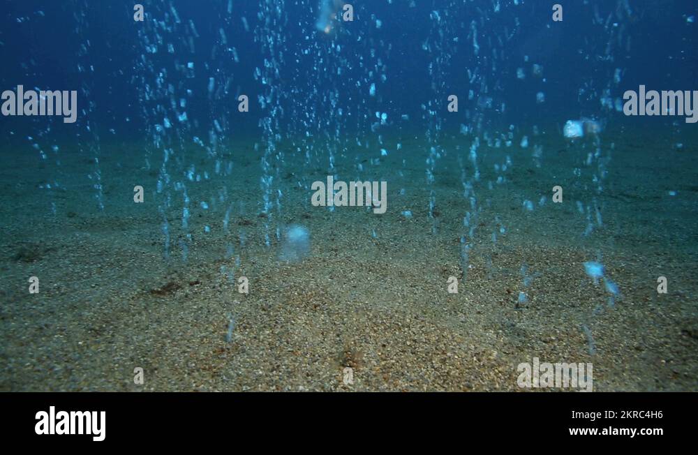 Gas bubbles ocean floor Stock Videos & Footage - HD and 4K Video Clips ...