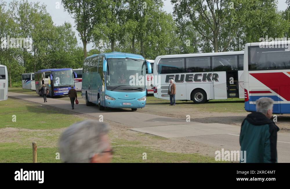 Coach coaches people Stock Videos & Footage - HD and 4K Video Clips - Alamy