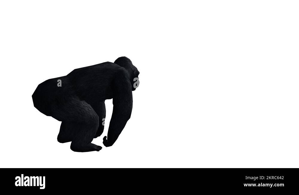 Scary chimpanzee Stock Videos & Footage - HD and 4K Video Clips - Alamy
