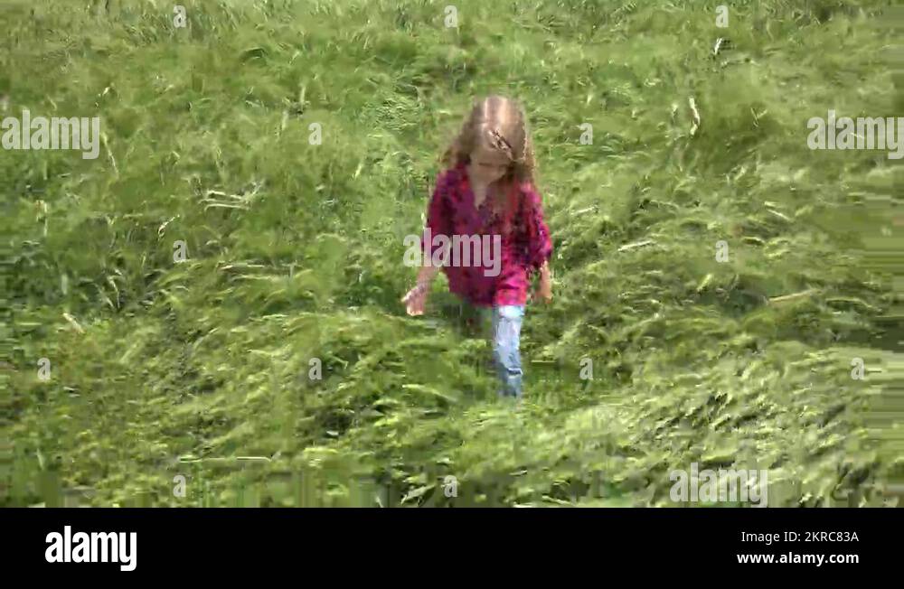 4K Child, Little Girl Walking in Wheat Field, Kid Playing, Countryside ...