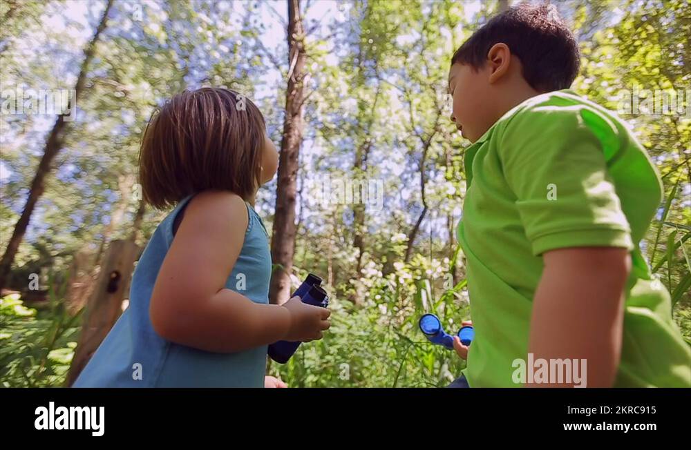 Boy pointing at sister Stock Videos & Footage - HD and 4K Video Clips ...