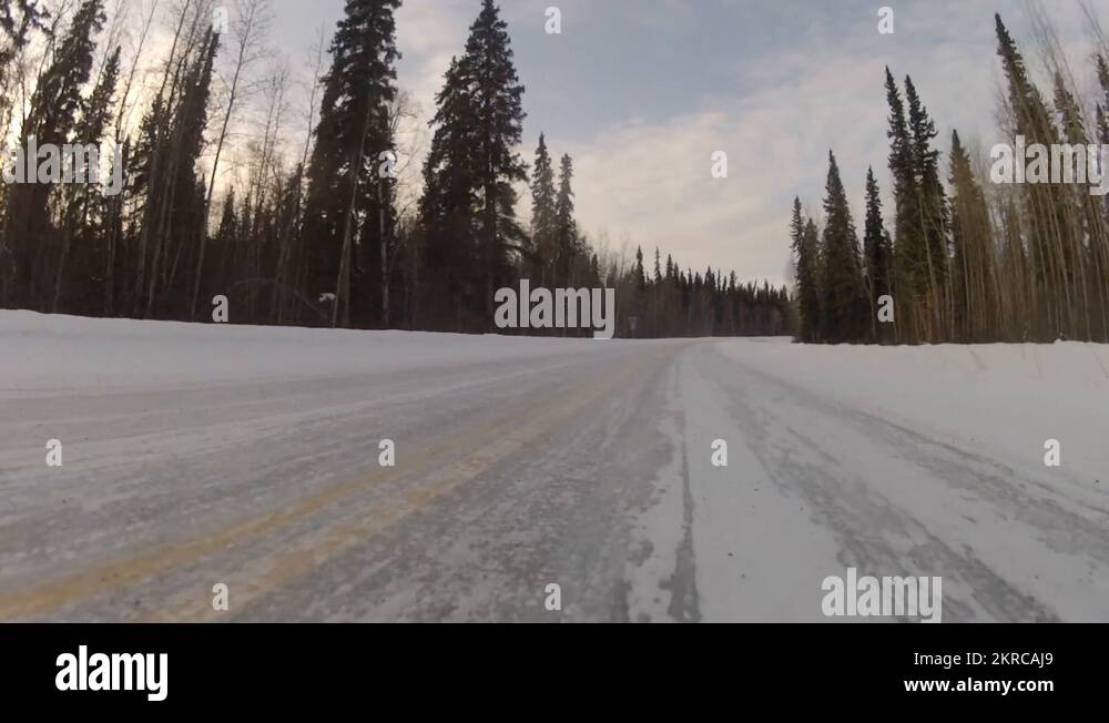 Alaska pine trees snow Stock Videos & Footage - HD and 4K Video Clips ...