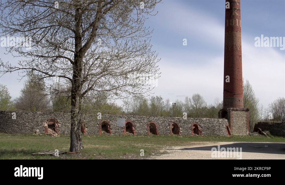 Pipe tree Stock Videos & Footage - HD and 4K Video Clips - Alamy