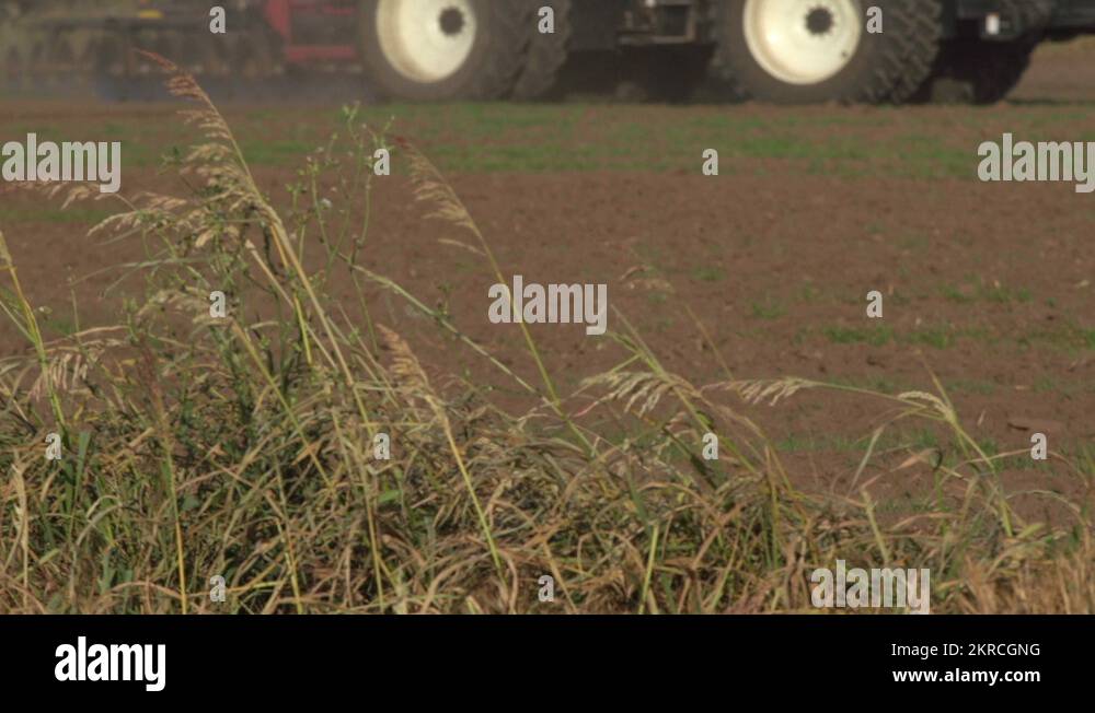Crop discing Stock Videos & Footage - HD and 4K Video Clips - Alamy