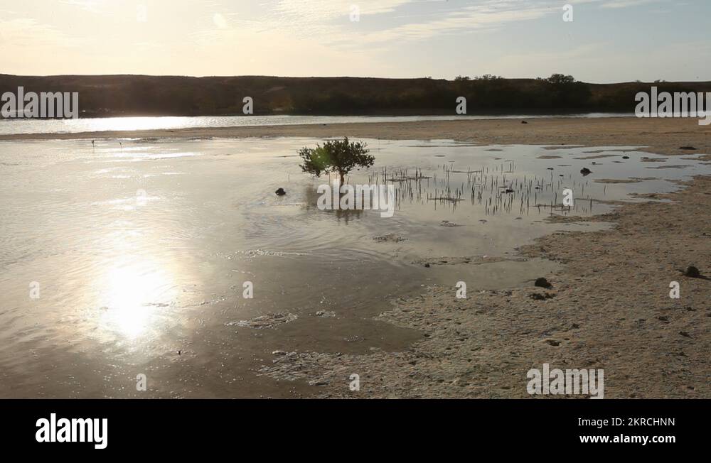 Ras mohamed national park Stock Videos & Footage - HD and 4K Video ...