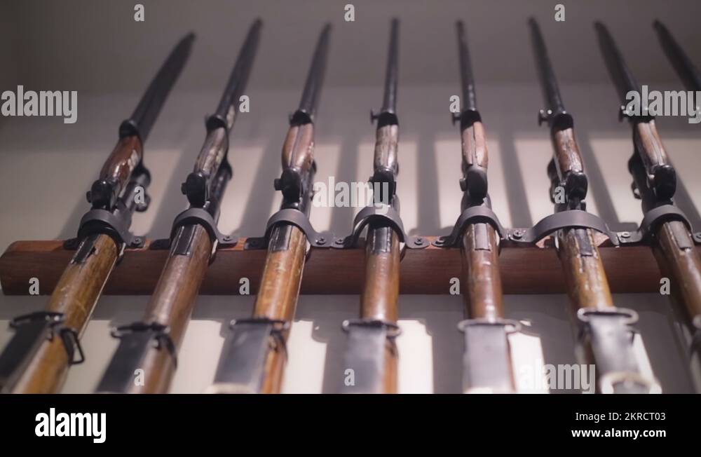 Carbine rifles Stock Videos & Footage - HD and 4K Video Clips - Alamy