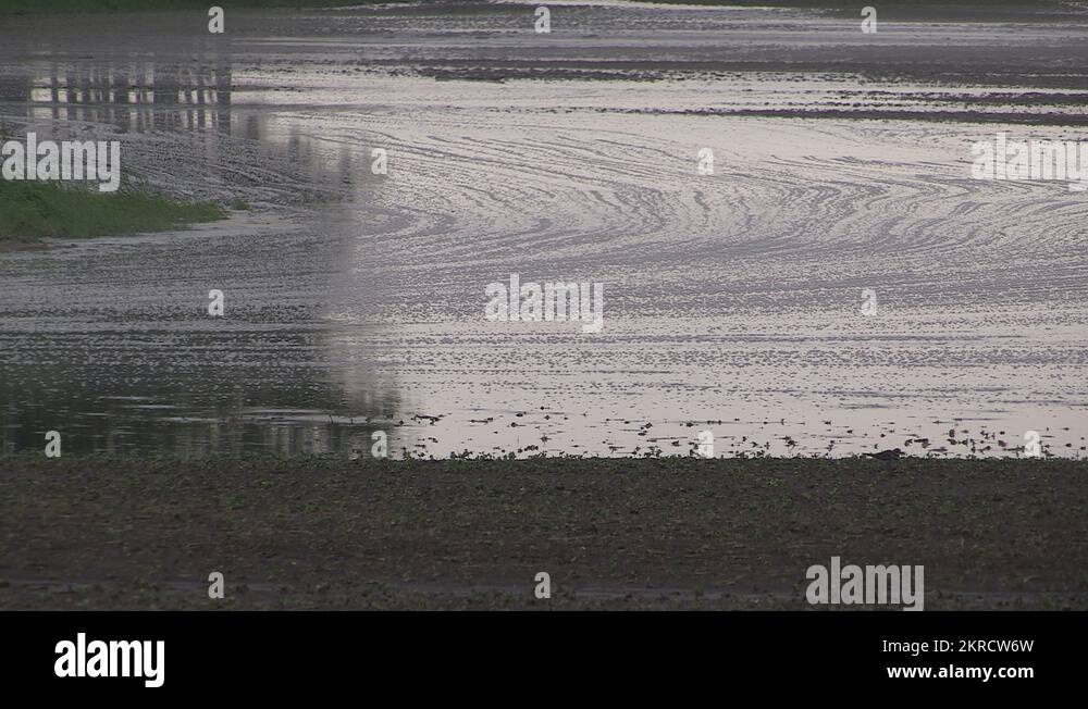 Rain farm fields Stock Videos & Footage - HD and 4K Video Clips - Alamy