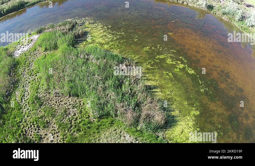 Livestock farming pollution Stock Videos & Footage - HD and 4K Video ...