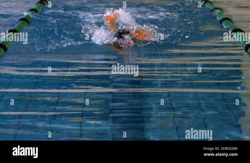 Fit female swimmer doing the front stroke in swimming pool Stock Video ...