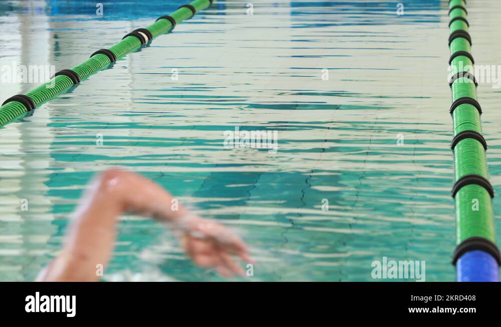 Fit swimmer doing the front stroke in the swimming pool Stock Video ...