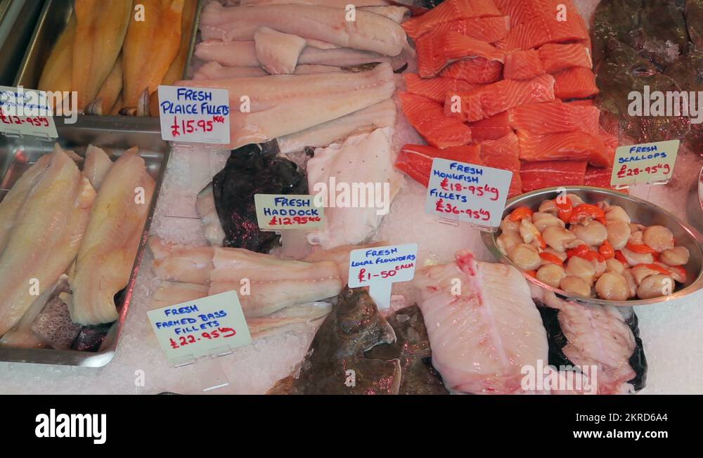 British bass fish Stock Videos & Footage - HD and 4K Video Clips - Alamy