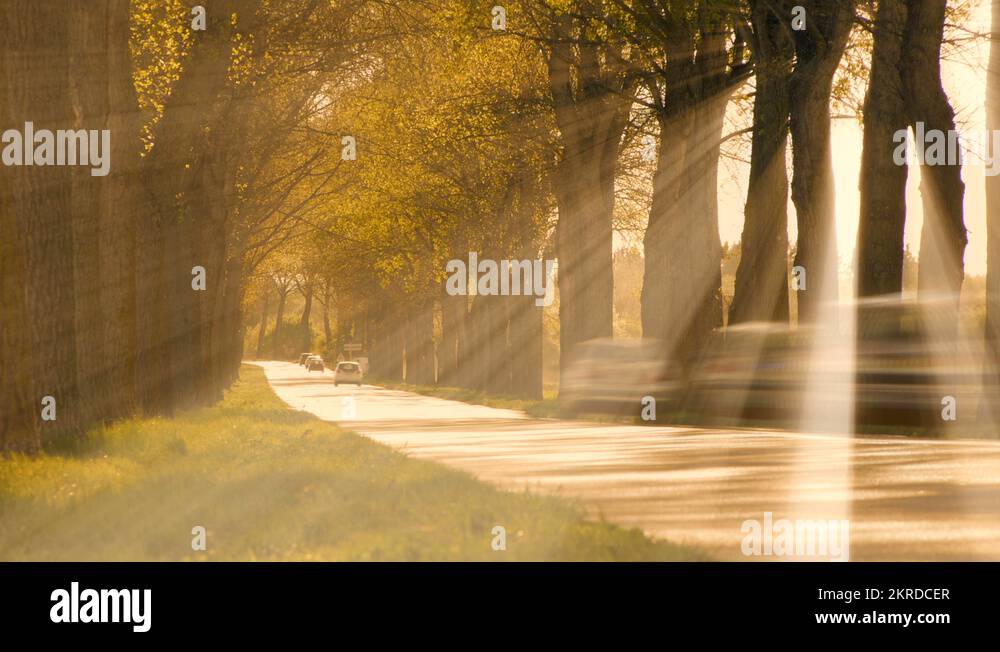 Light rays street Stock Videos & Footage - HD and 4K Video Clips - Alamy