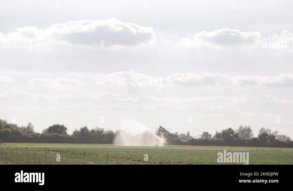 Circle sprinkler Stock Videos & Footage - HD and 4K Video Clips - Alamy