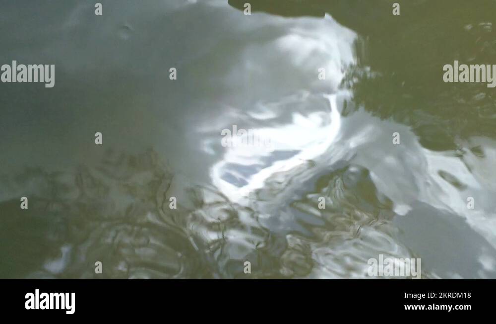 Army trainees Stock Videos & Footage - HD and 4K Video Clips - Alamy