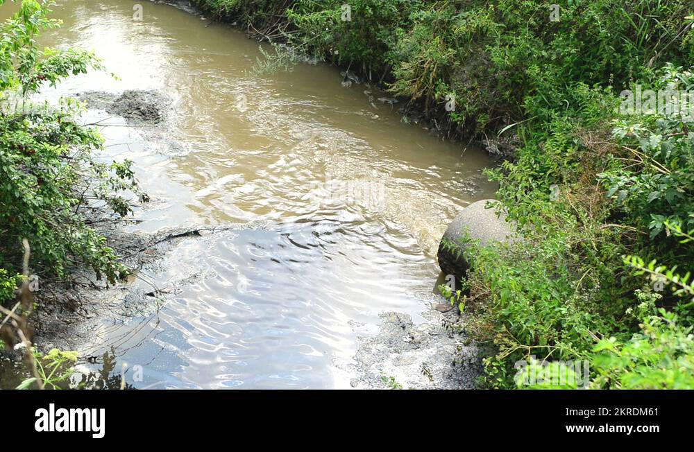 Water pollution. Waste water flowing and polluting environment Stock ...