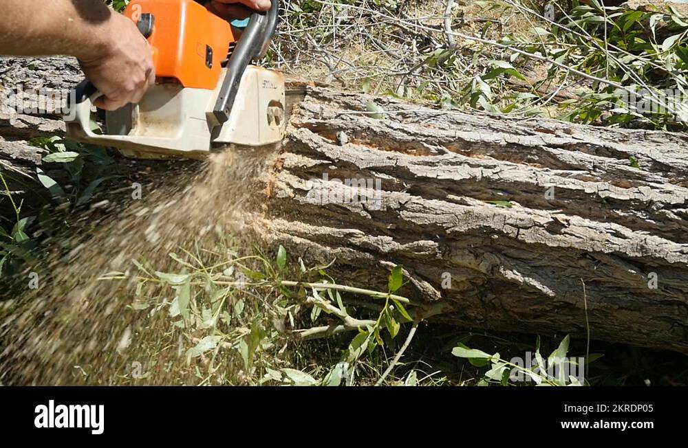 Chain of wood Stock Videos & Footage - HD and 4K Video Clips - Alamy