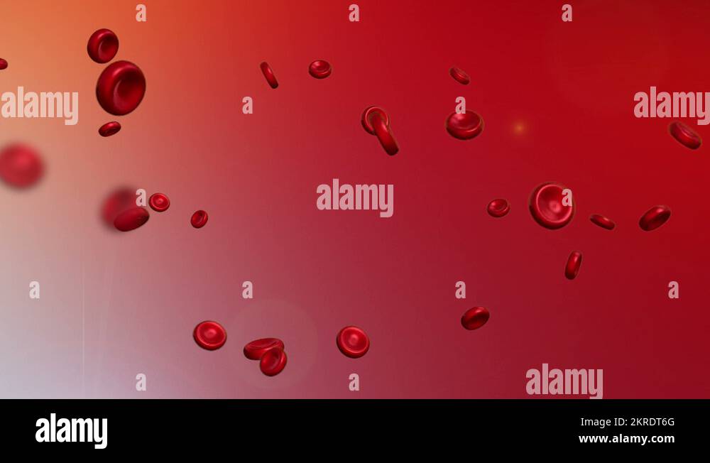 Red blood cells Stock Videos & Footage - HD and 4K Video Clips - Alamy