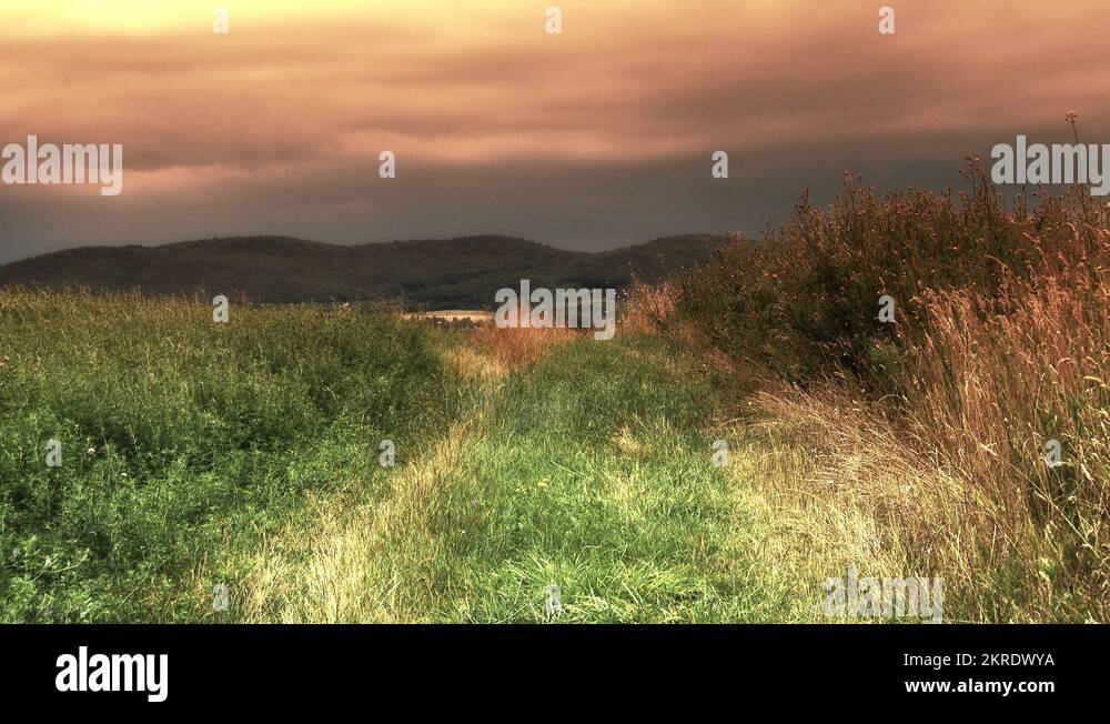 4K Magical Meadow in a Mysterious Surrealistic Fairy Tale Design - off ...