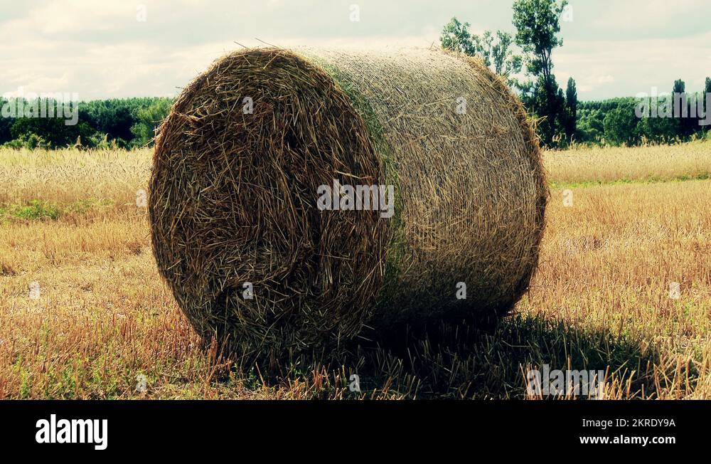 Grain bale Stock Videos & Footage - HD and 4K Video Clips - Alamy