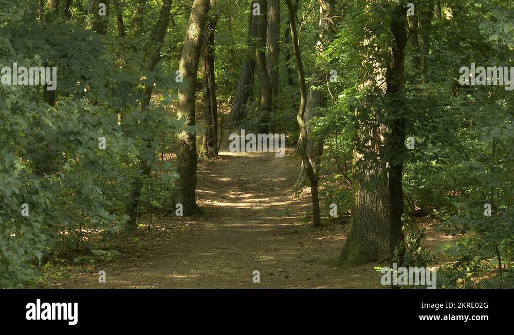 Temperate climate Stock Videos & Footage - HD and 4K Video Clips - Alamy