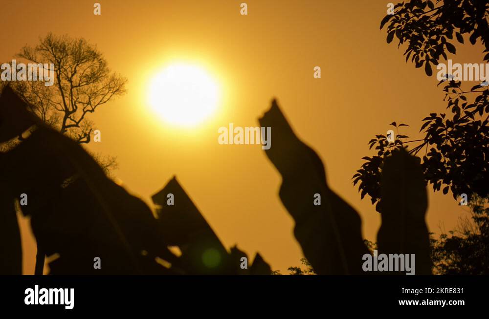 Tropical dry season Stock Videos & Footage - HD and 4K Video Clips - Alamy