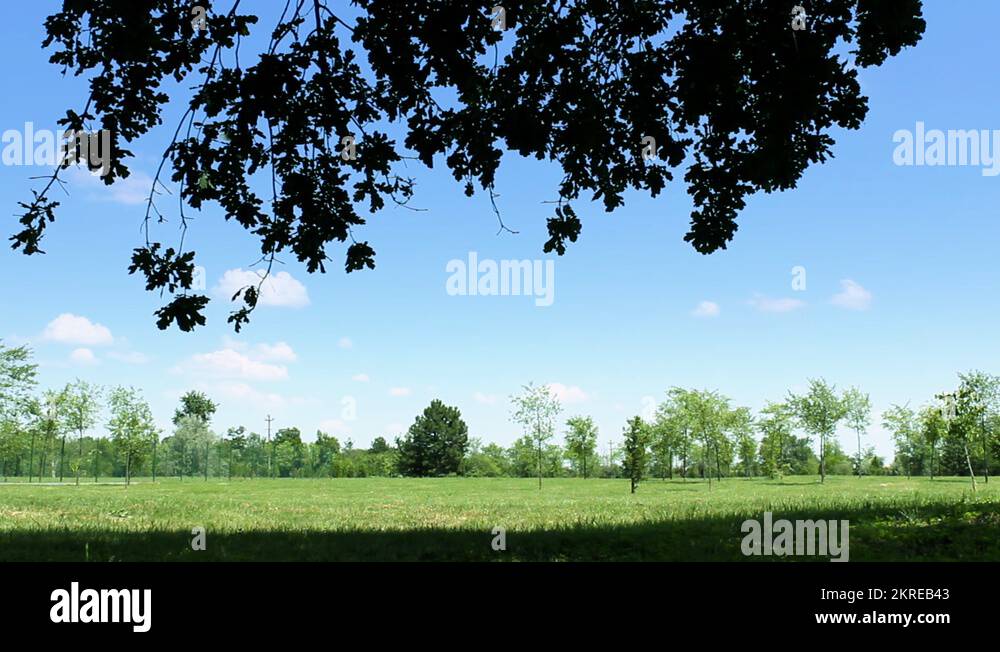 Beautiful small park Stock Videos & Footage - HD and 4K Video Clips - Alamy