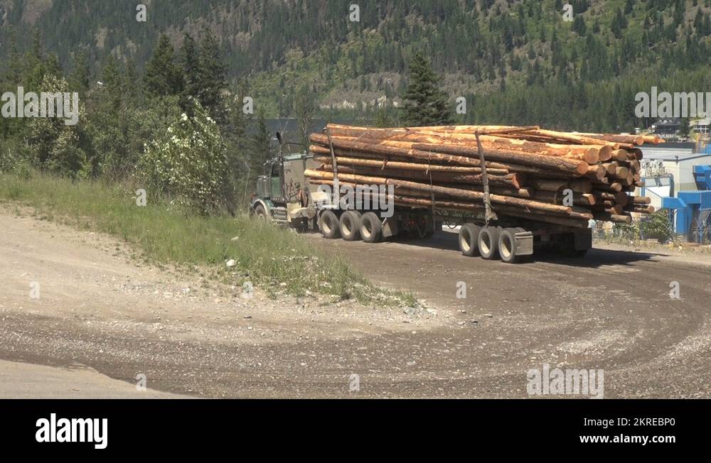 Log truck on road Stock Videos & Footage - HD and 4K Video Clips - Alamy