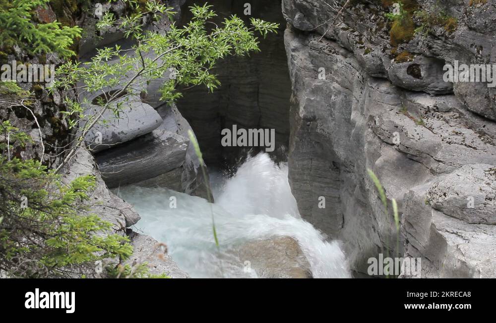 Malign Stock Videos & Footage - HD and 4K Video Clips - Alamy