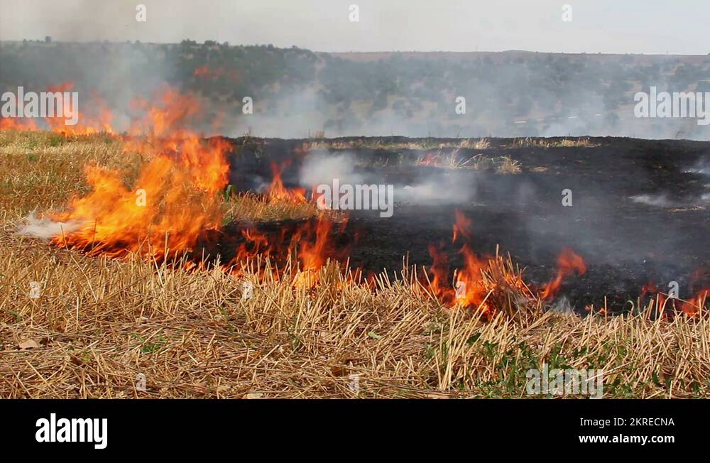 Field burning Stock Videos & Footage - HD and 4K Video Clips - Alamy