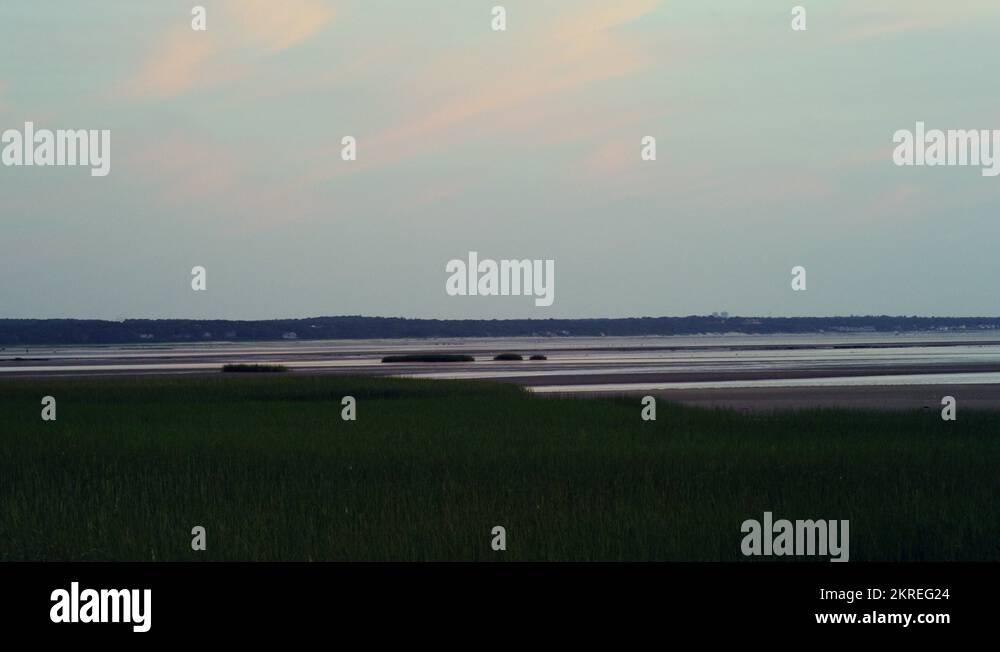 Tide conservation Stock Videos & Footage - HD and 4K Video Clips - Alamy