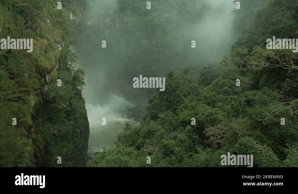 Tarzan waterfall Stock Videos & Footage - HD and 4K Video Clips - Alamy