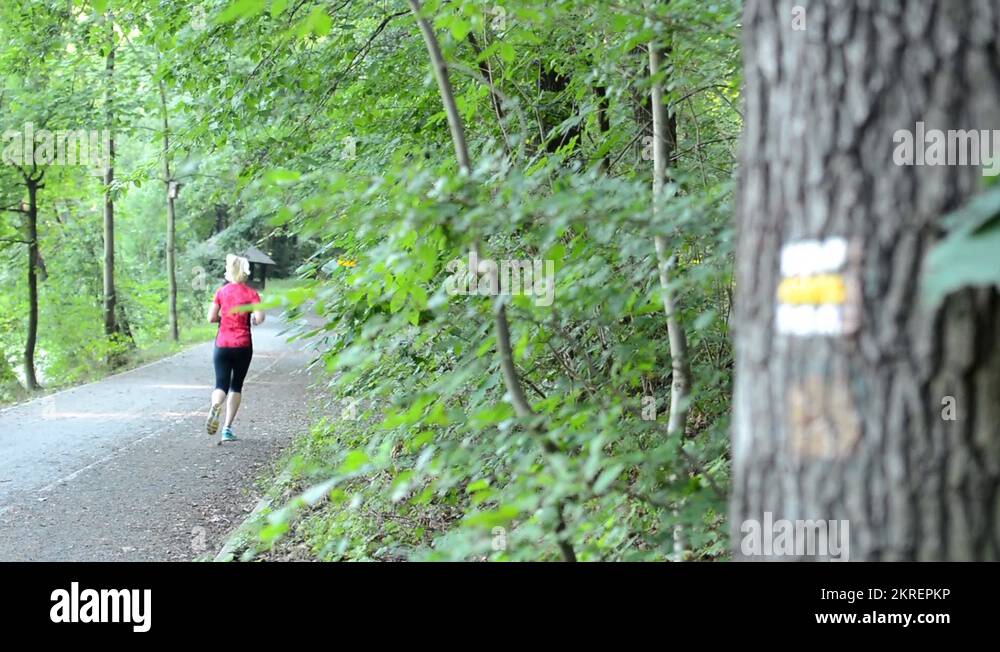 Tree way pathway Stock Videos & Footage - HD and 4K Video Clips - Alamy