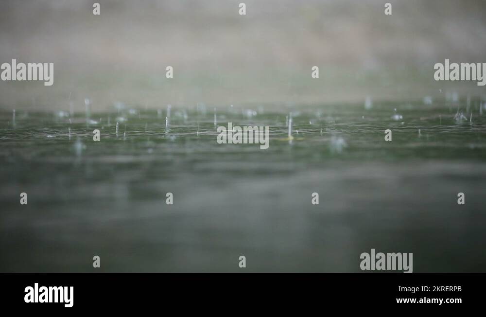 Hippopotamus hippo rain water Stock Videos & Footage - HD and 4K Video ...