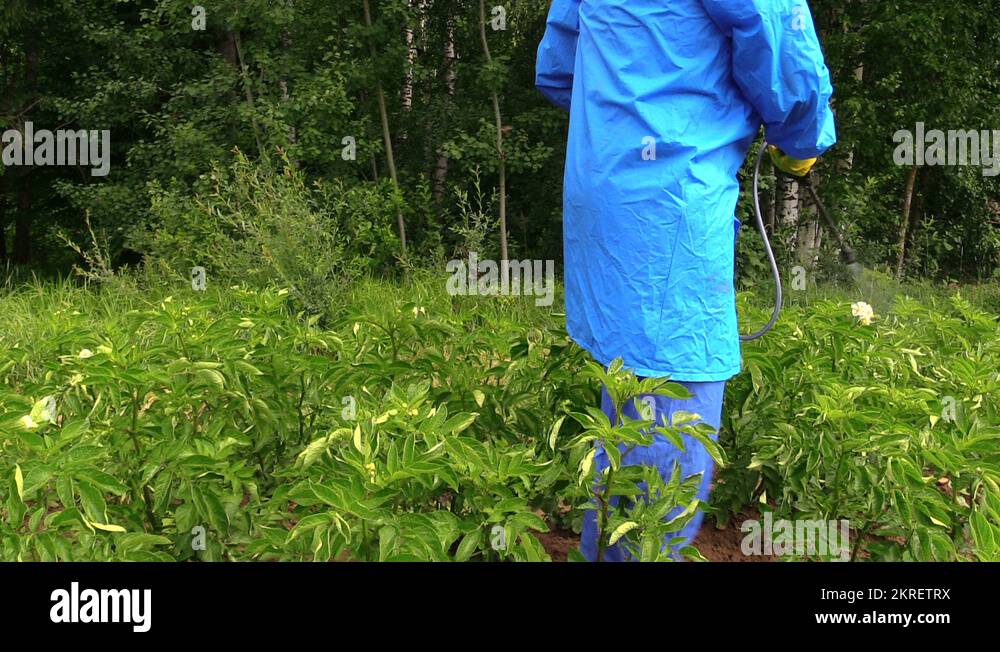 Vermin control Stock Videos & Footage - HD and 4K Video Clips - Alamy