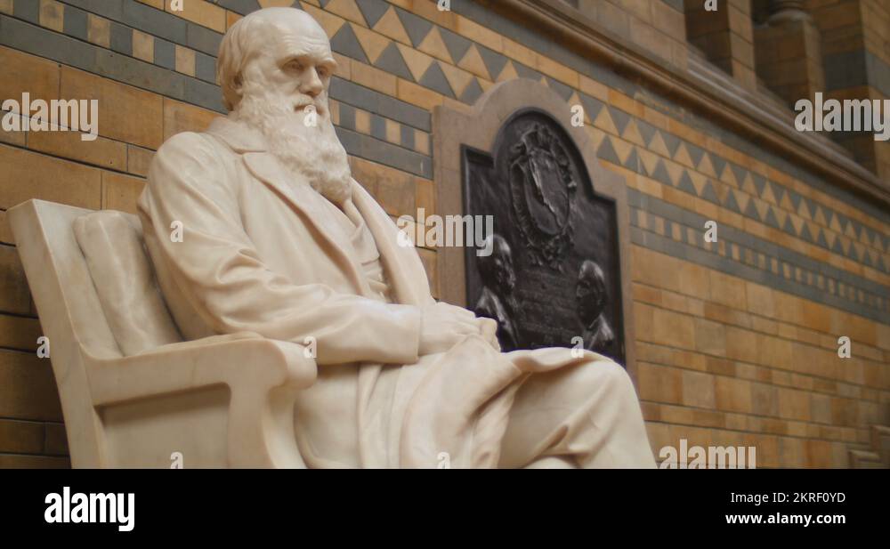Charles darwin theory Stock Videos & Footage - HD and 4K Video Clips ...