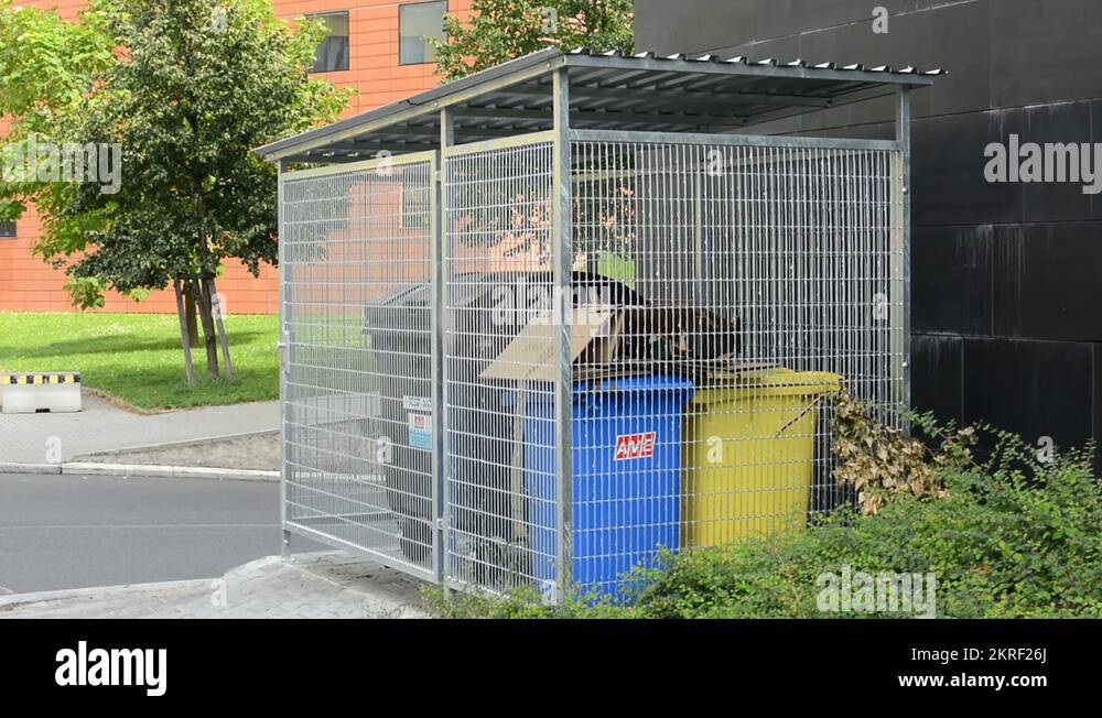 Do not dispose of in dustbin Stock Videos & Footage - HD and 4K Video ...