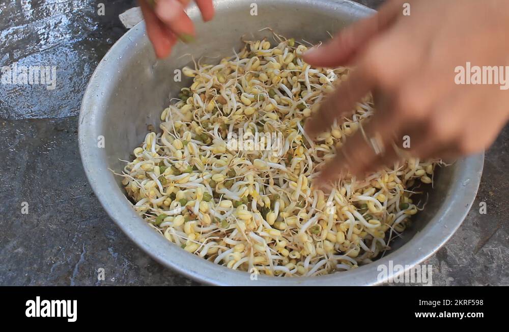 Green bean sprout Stock Videos & Footage - HD and 4K Video Clips - Alamy