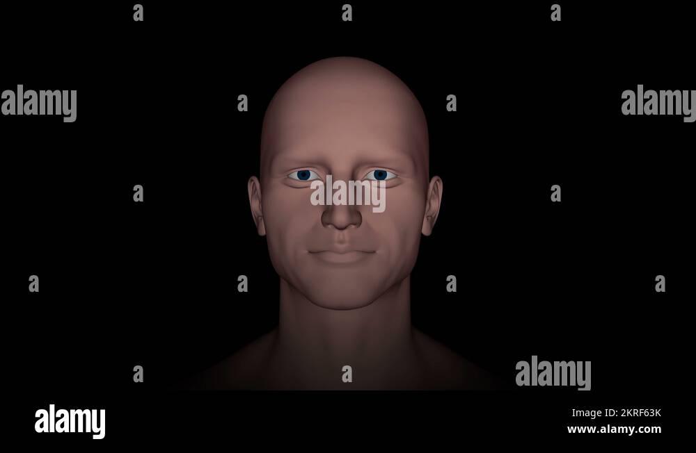 3dmodels Stock Videos & Footage - HD and 4K Video Clips - Alamy