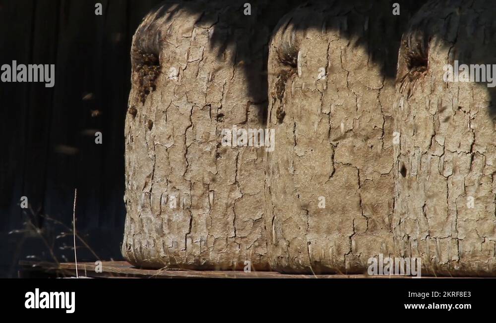 Traditional beehives Stock Videos & Footage - HD and 4K Video Clips - Alamy