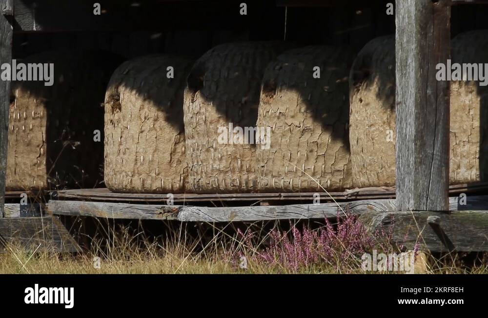 Clay beehive Stock Videos & Footage - HD and 4K Video Clips - Alamy