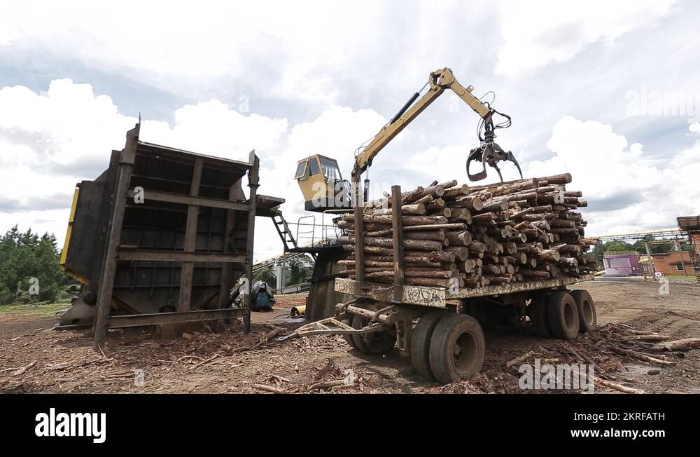 Wood tractor Stock Videos & Footage - HD and 4K Video Clips - Alamy