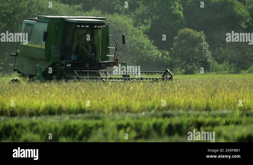 Combine harvester field trees Stock Videos & Footage - HD and 4K Video ...
